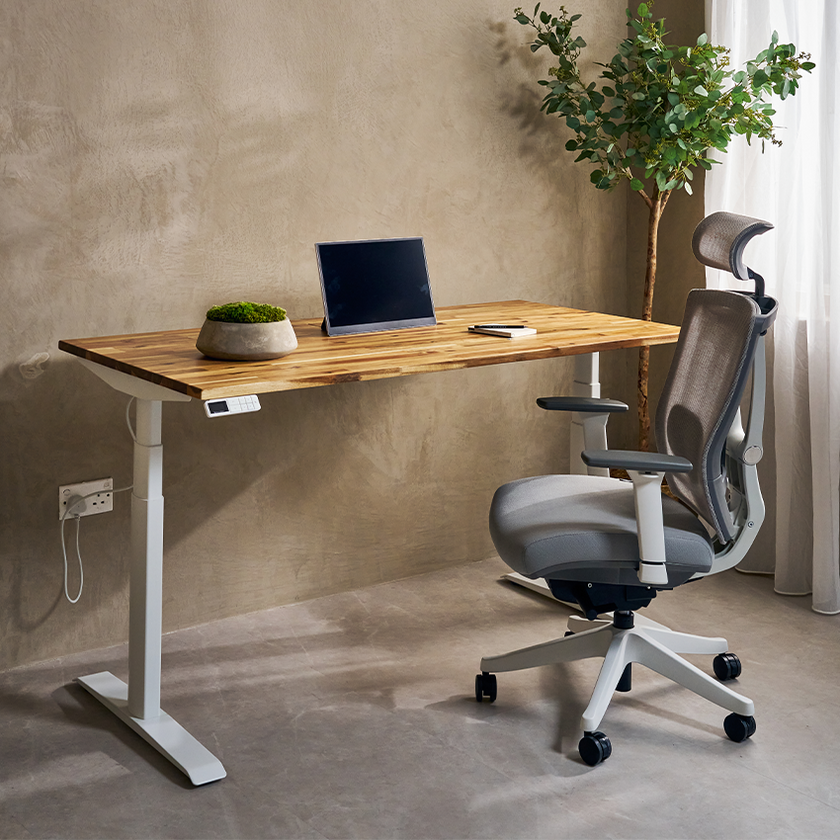 Omnidesk Ascent Wildwood | Solid Wood Ergonomic Adjustable Standing Desk