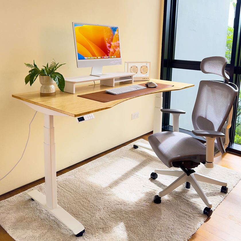 Omnidesk Ascent | Ergonomic Adjustable Standing Desk