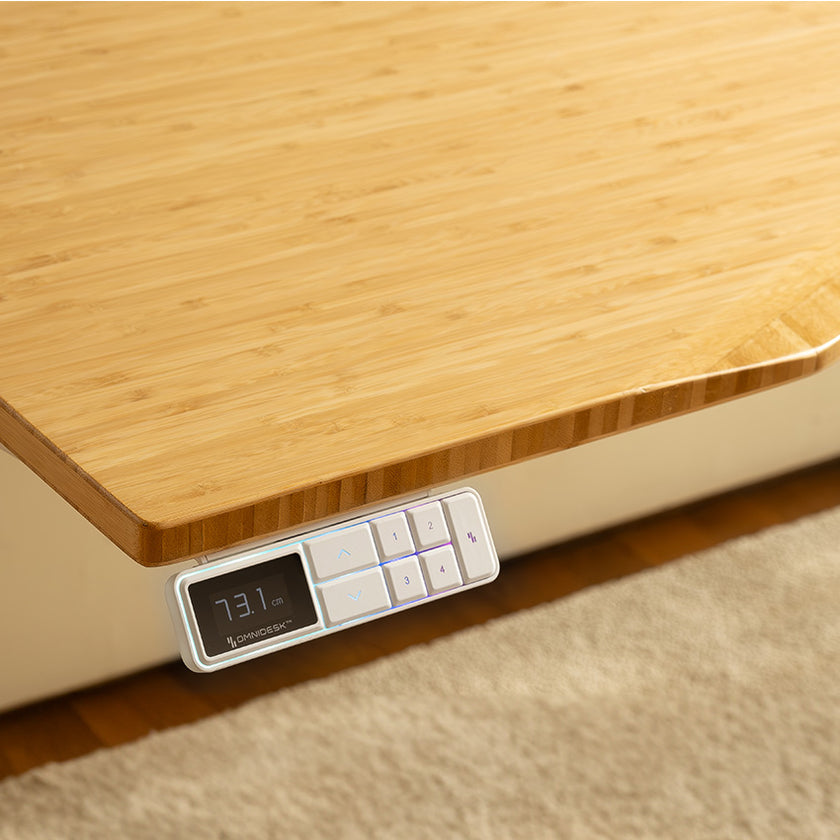 Omnidesk Ascent | Ergonomic Adjustable Standing Desk