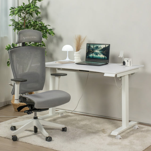 Omnidesk Classic Ergo Curve | The Essential Standing Desk