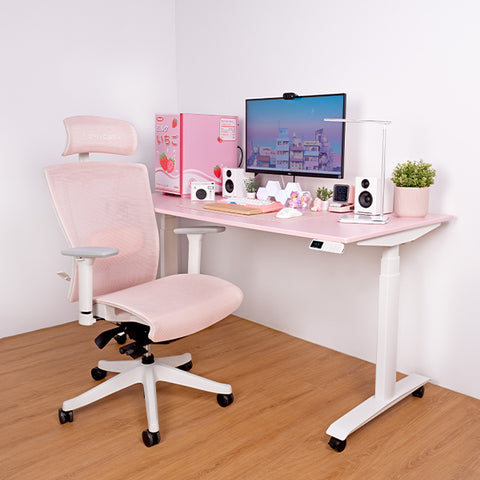 Omnidesk Ascent | Ergonomic Adjustable Standing Desk
