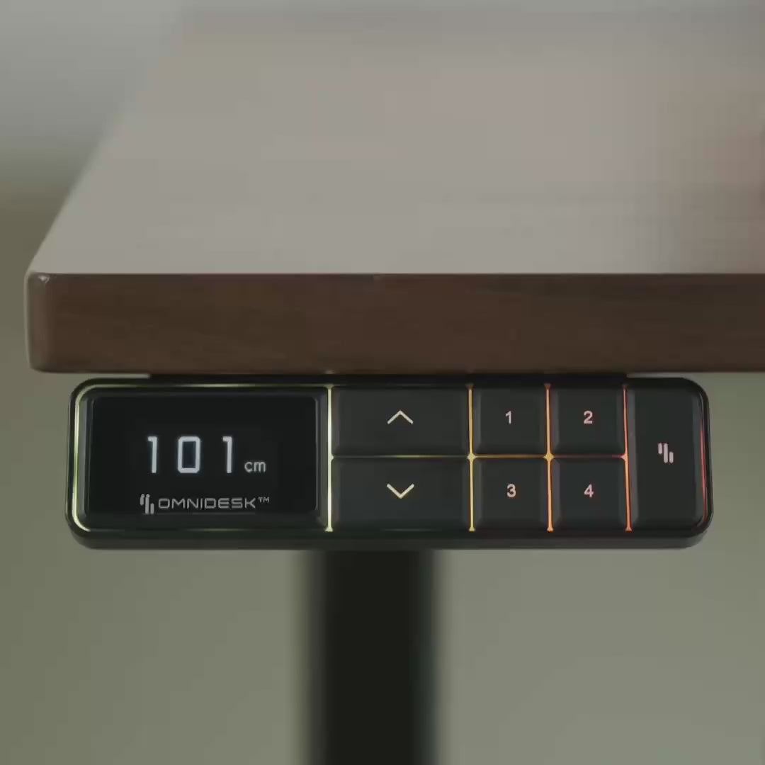 Omnidesk Ascent Radiance | RGB Ergonomic Adjustable Standing Desk