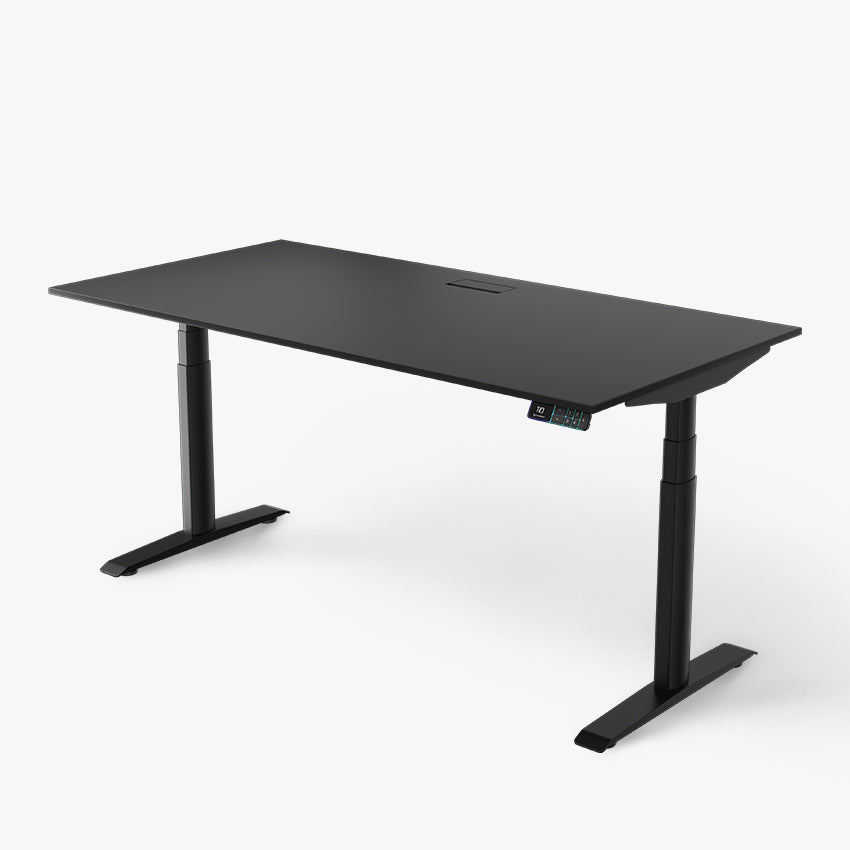 Omnidesk Ascent | Ergonomic Adjustable Standing Desk