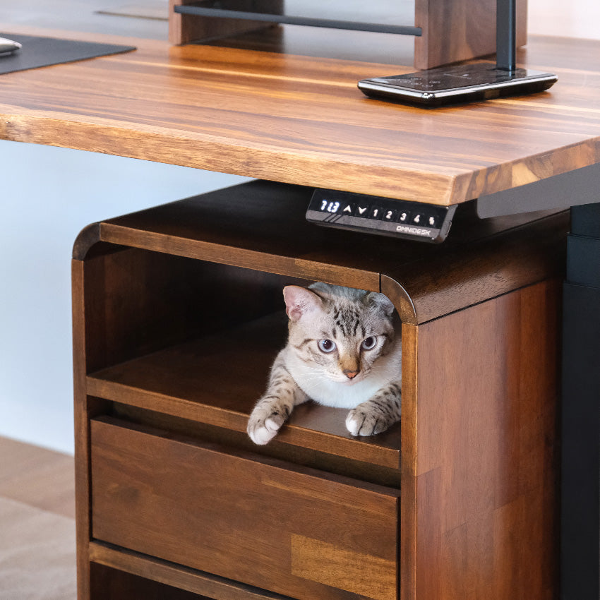 Sheva Acacia Pedestal - Omnidesk