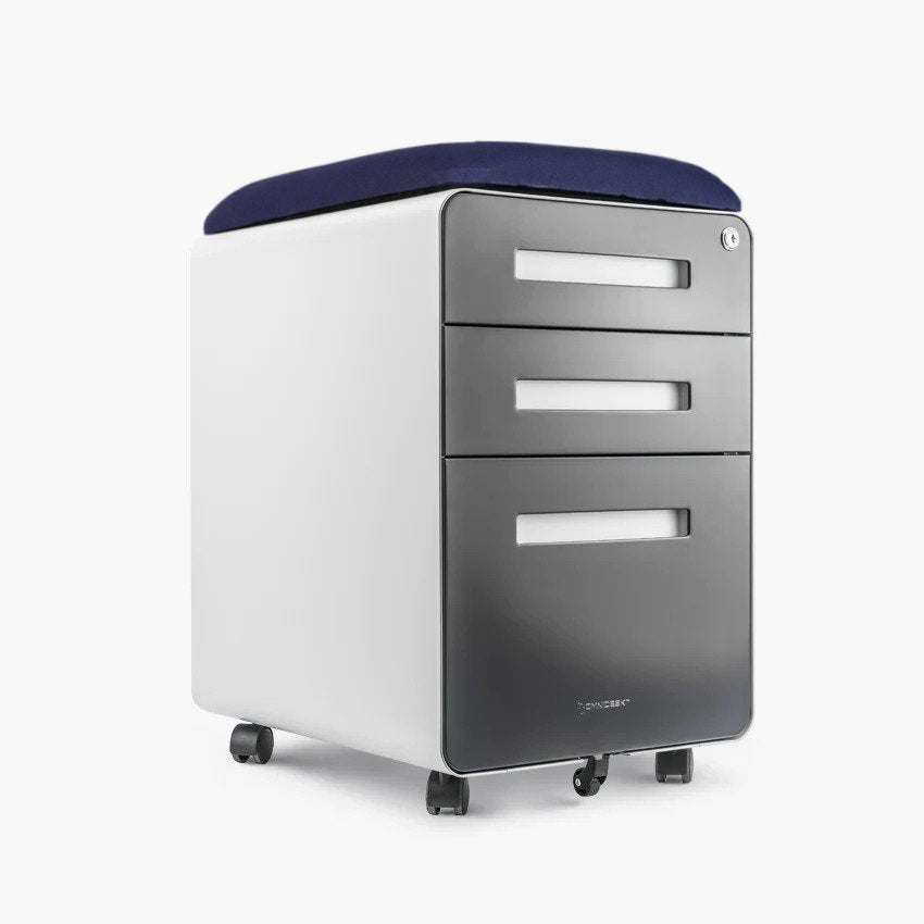 Tandem: Mobile Steel Storage Drawer - Omnidesk